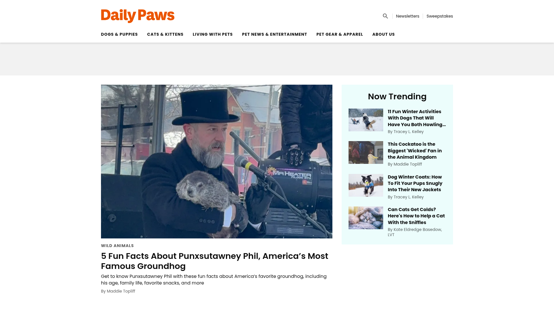 How to Scrape Daily Paws: A Step-by-Step Web Scraper Guide | Automatio